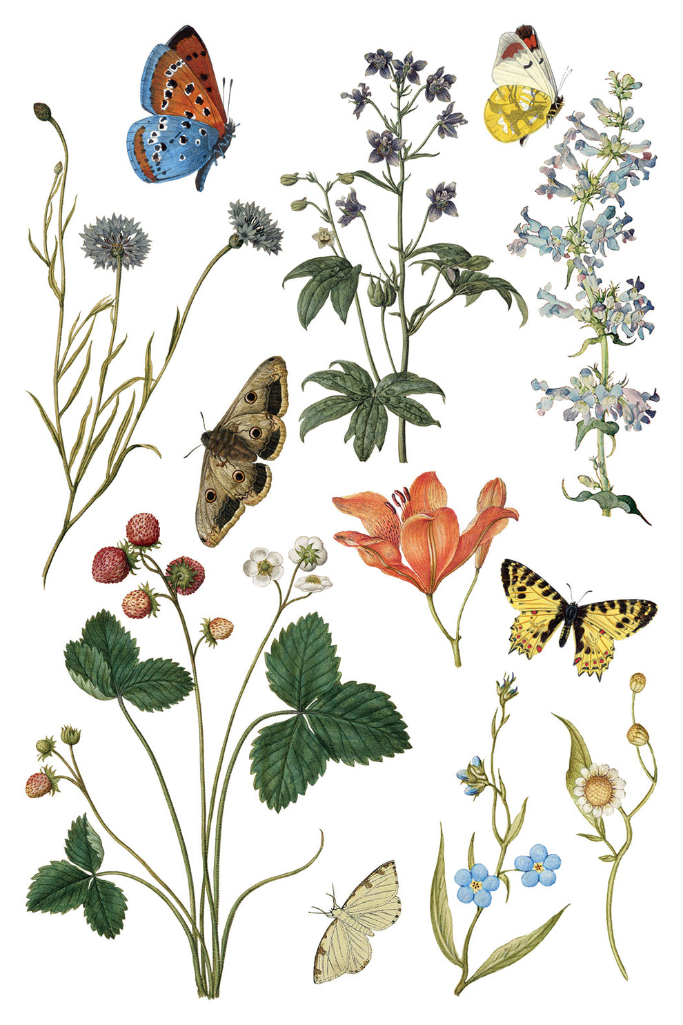 Wilde Bloemen - 8 Sheet, 8x12 Pad IOD Decor Transfer™ 2025