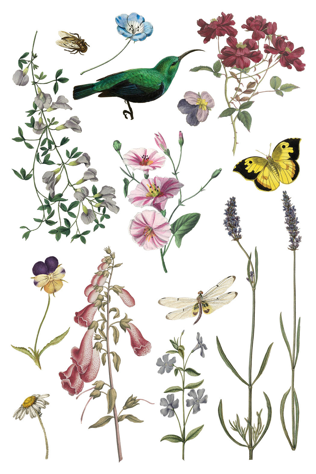 Wilde Bloemen - 8 Sheet, 8x12 Pad IOD Decor Transfer™ 2025