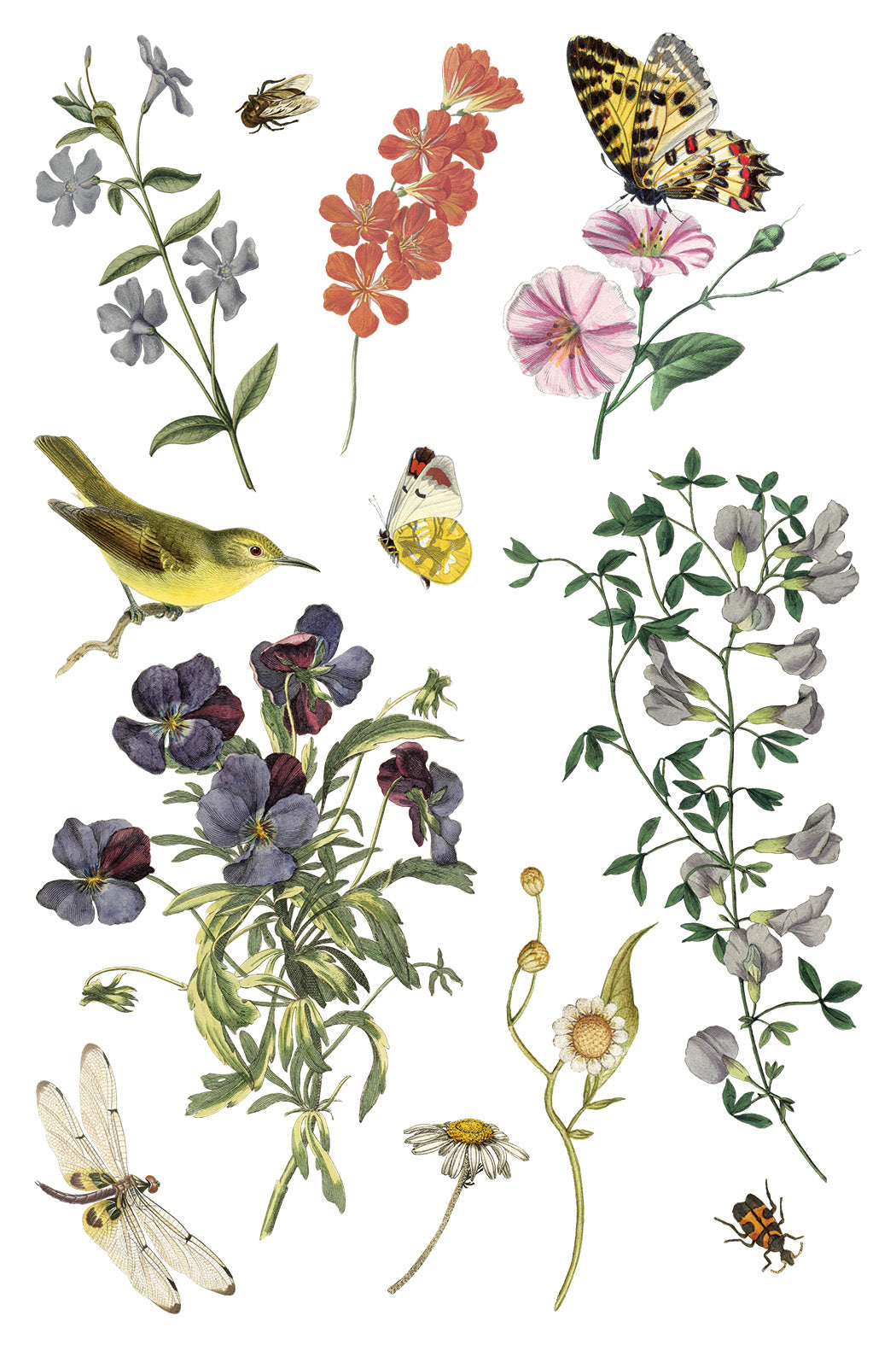 Wilde Bloemen - 8 Sheet, 8x12 Pad IOD Decor Transfer™ 2025