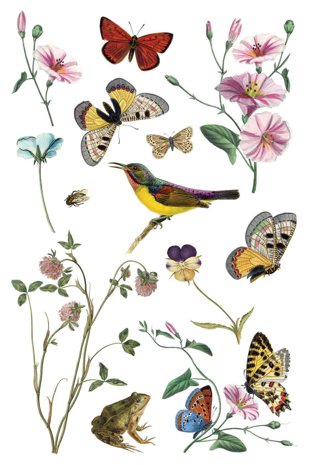 Wilde Bloemen - 8 Sheet, 8x12 Pad IOD Decor Transfer™ 2025