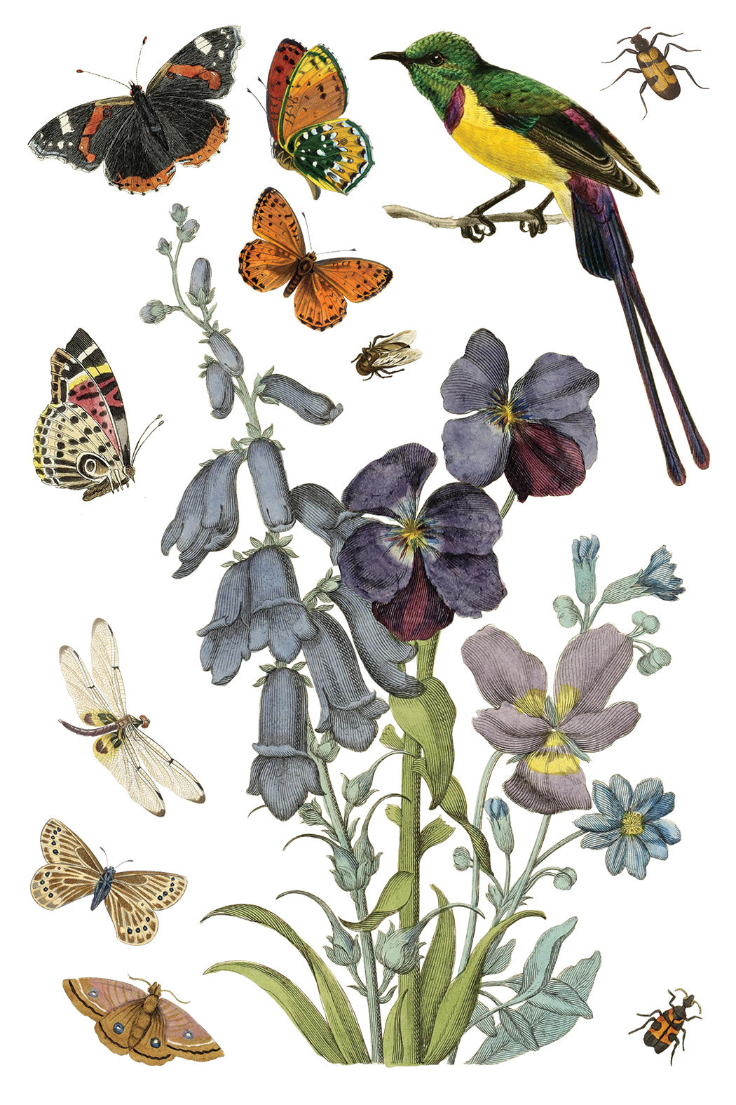 Wilde Bloemen - 8 Sheet, 8x12 Pad IOD Decor Transfer™ 2025