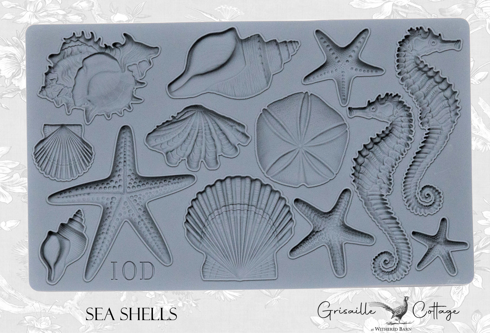 Sea Shells ~ IOD Decor Mould 2020